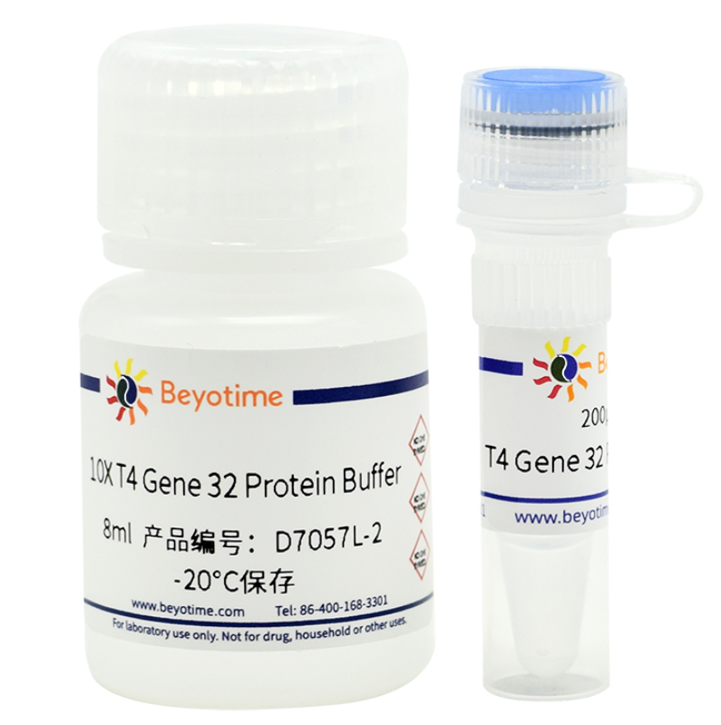 碧云天 T4 Gene 32 Protein (ssDNA结合蛋白)(D7057L)_常规试剂、生化试剂_i实验室(iallab.com)