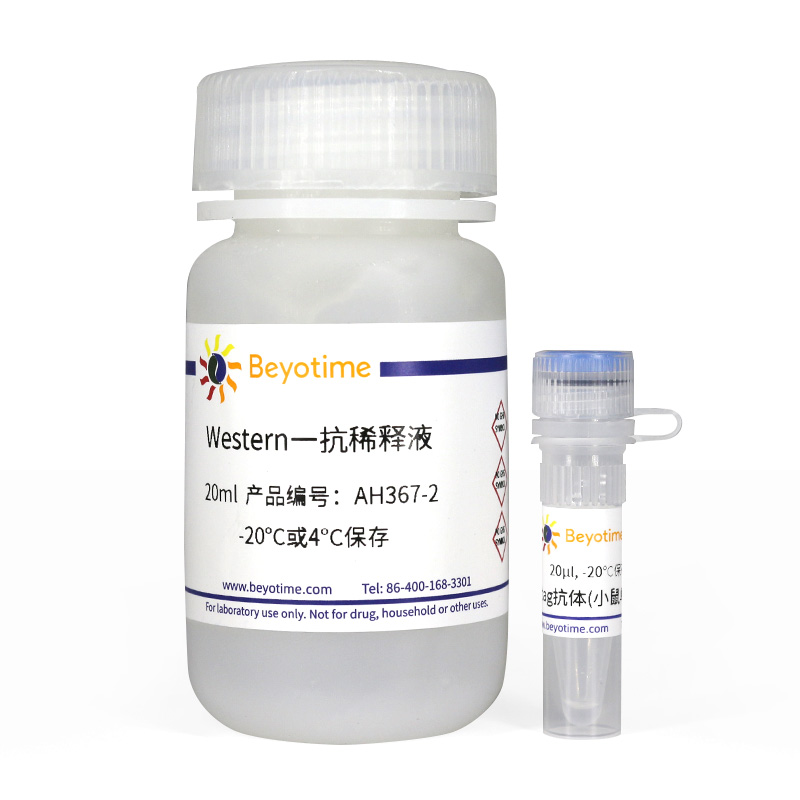 碧云天 His-tag抗体(小鼠单抗)(AH367)_常规试剂、生化试剂_i实验室(iallab.com)