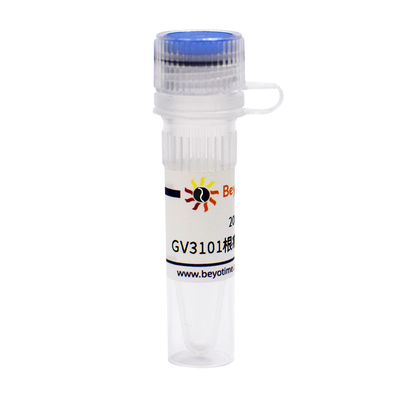 碧云天 GV3101根瘤农杆菌甘油菌(转基因植物构建用)(D0392)_常规试剂、生化试剂_i实验室(iallab.com)