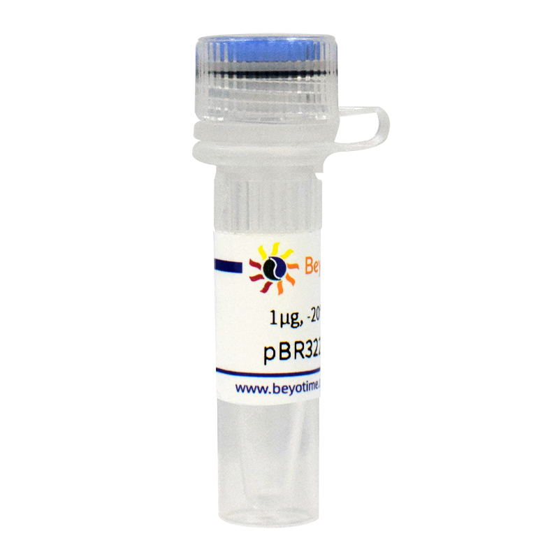 碧云天 pBR322 DNA(大肠杆菌基因克隆载体)(D2301-1μg)_常规试剂、生化试剂_i实验室(iallab.com)
