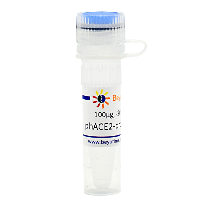 碧云天 phACE2-promoter-TA-luc (报告基因质粒)(D2488-100μg)_常规试剂、生化试剂_i实验室(iallab.com)