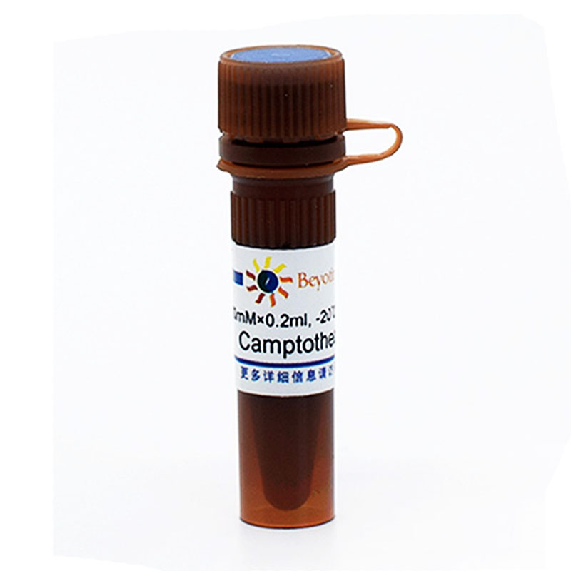 碧云天 Camptothecin (Topoisomerase抑制剂)(SC0141-10mM)_常规试剂、生化试剂_i实验室(iallab.com)